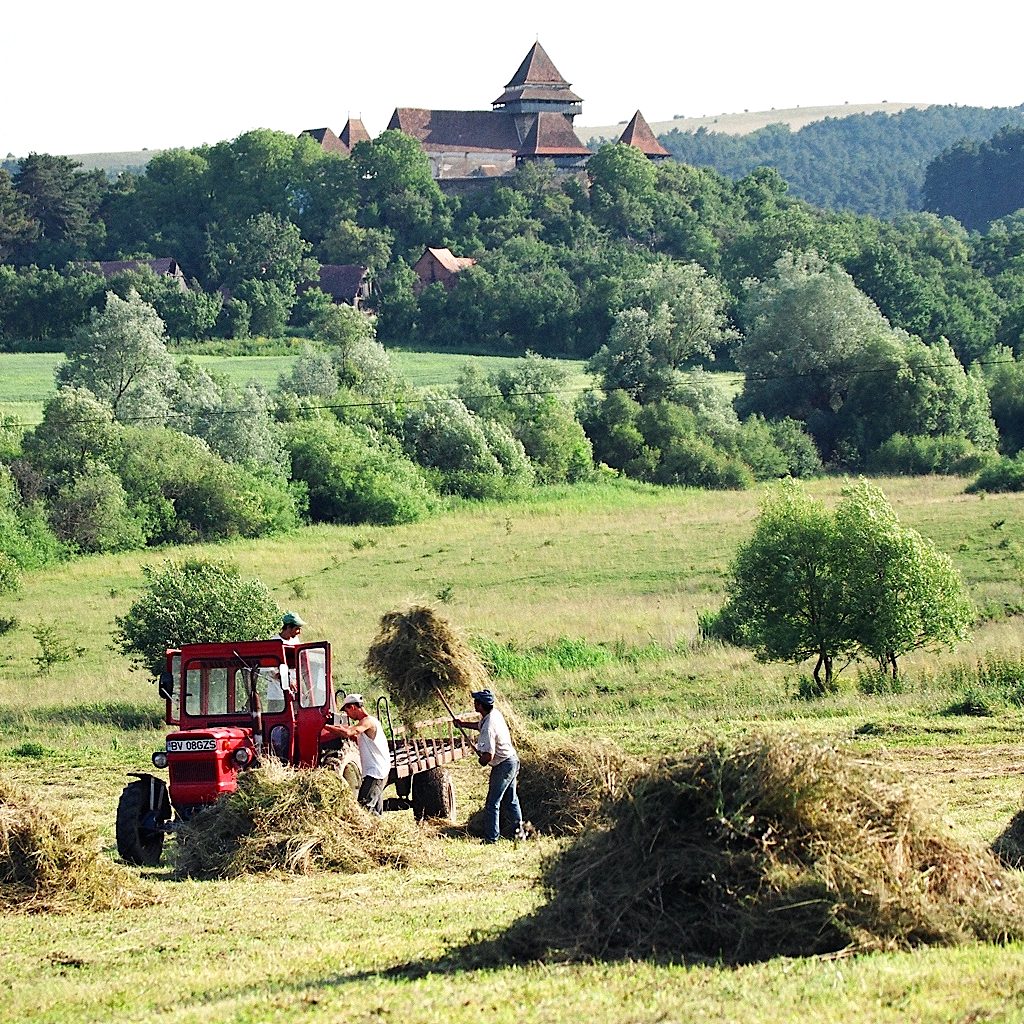 Biodiversity and environmentally friendly farming in Romania - The ...