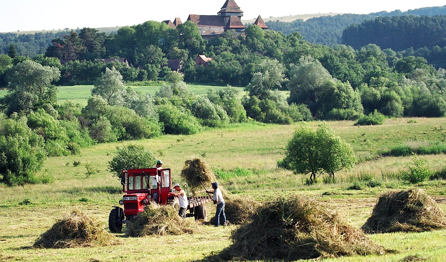 Biodiversity and environmentally friendly farming in Romania - The ...