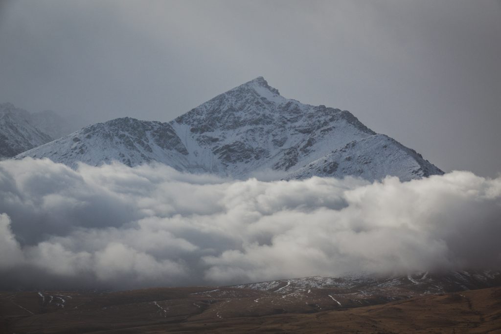 Two grantees selected as prestigious UN Global Flagships for Ecosystem ...