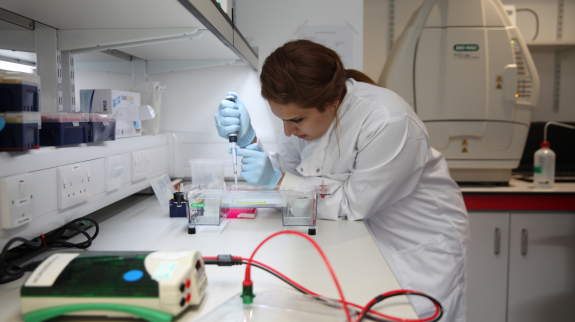 The Sigrid Rausing Trust