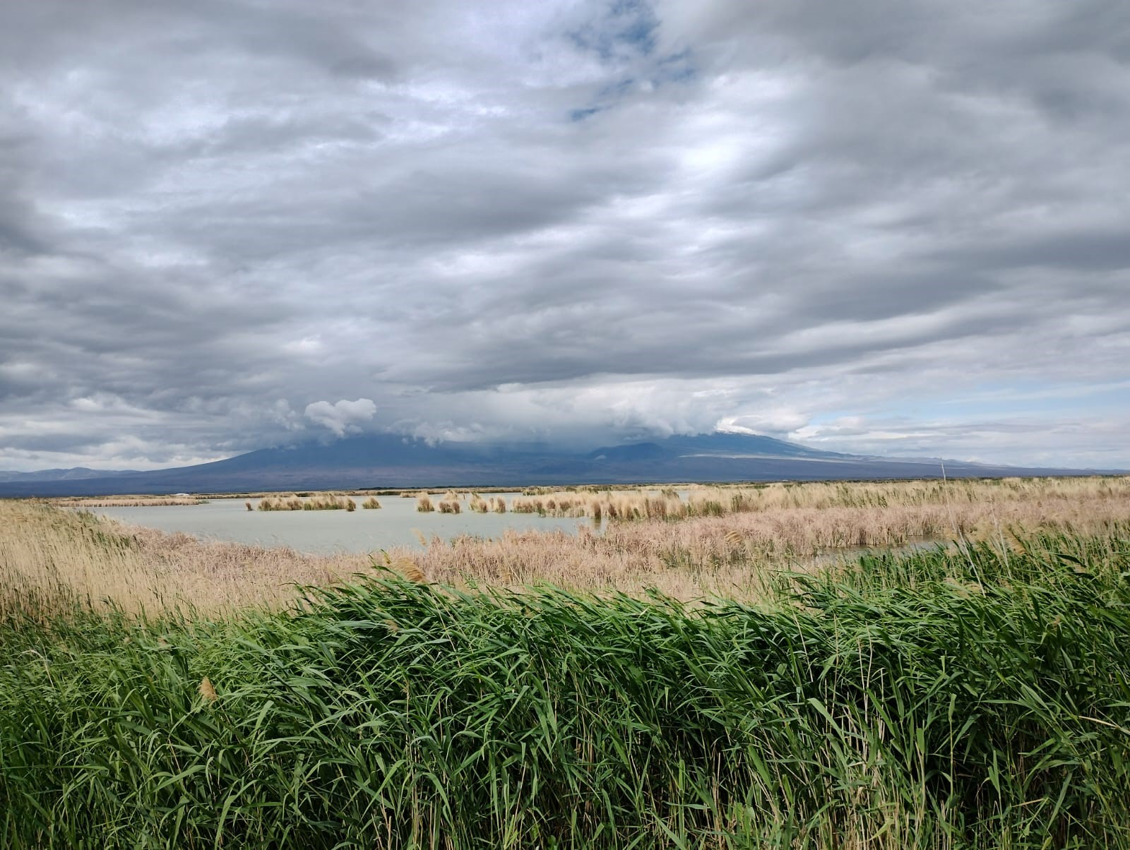 The Sigrid Rausing Trust